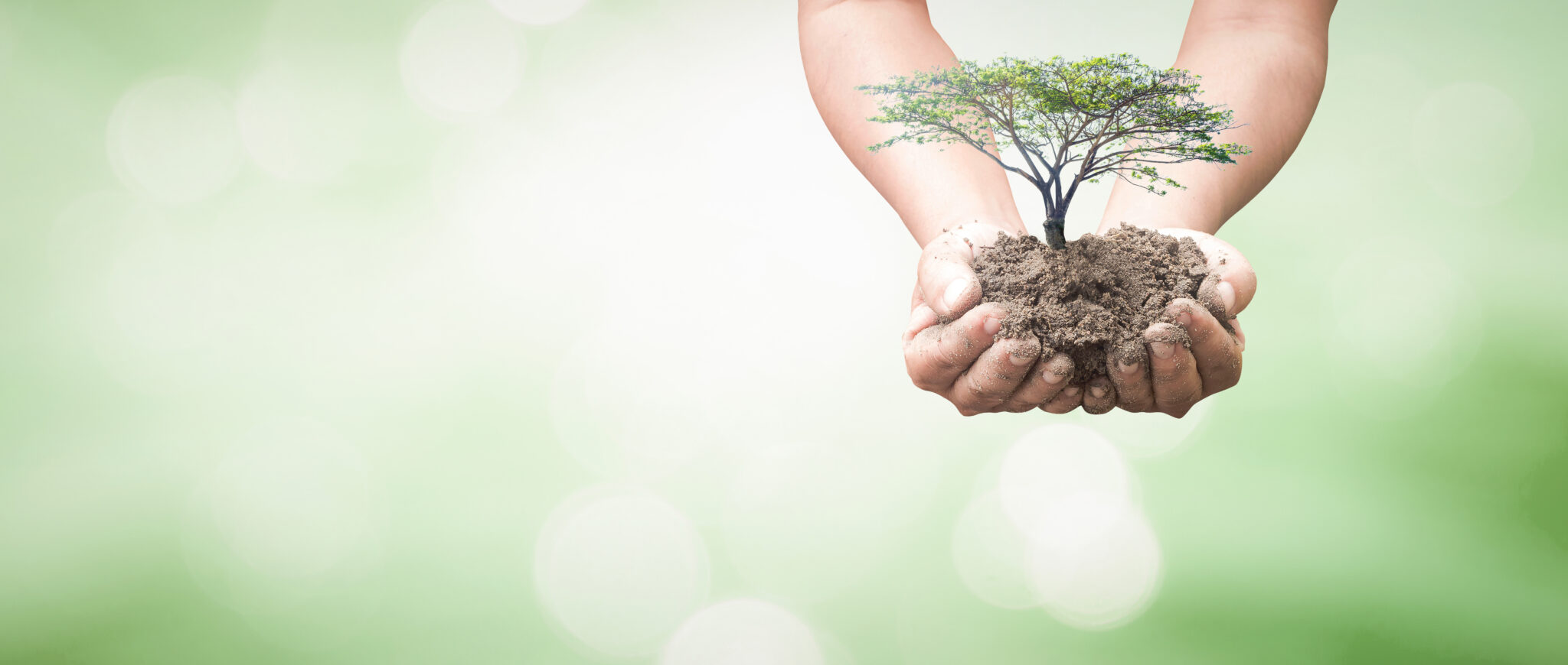 SDGs達成へのヒント｜日本の伝統文化からサステナビリティを取り入れよう – earth-ism